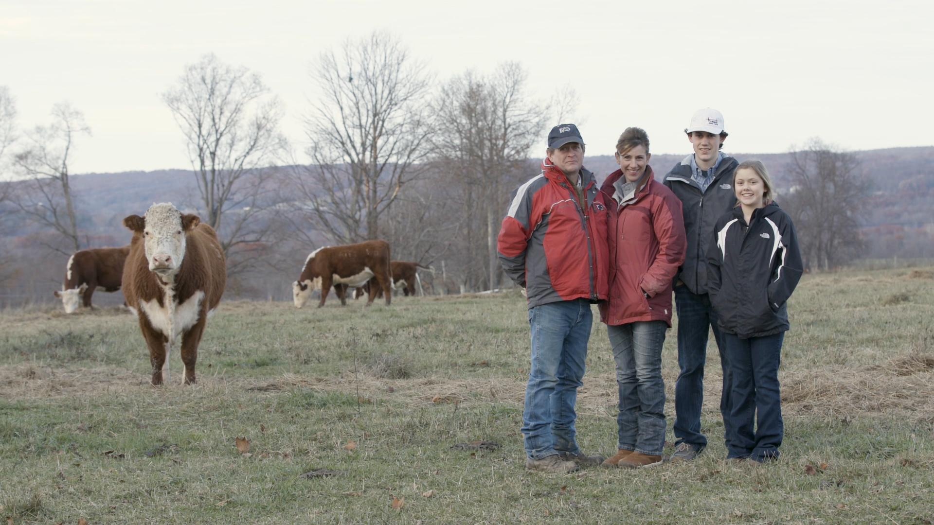Raising Beef