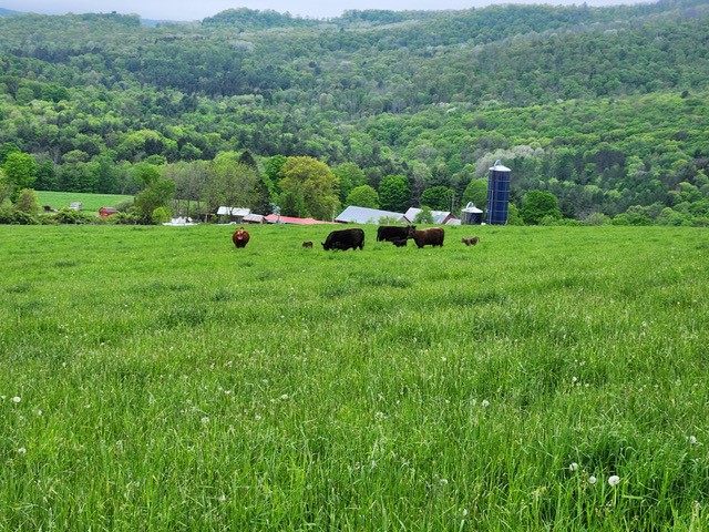 The Impact of the PA Beef Industry